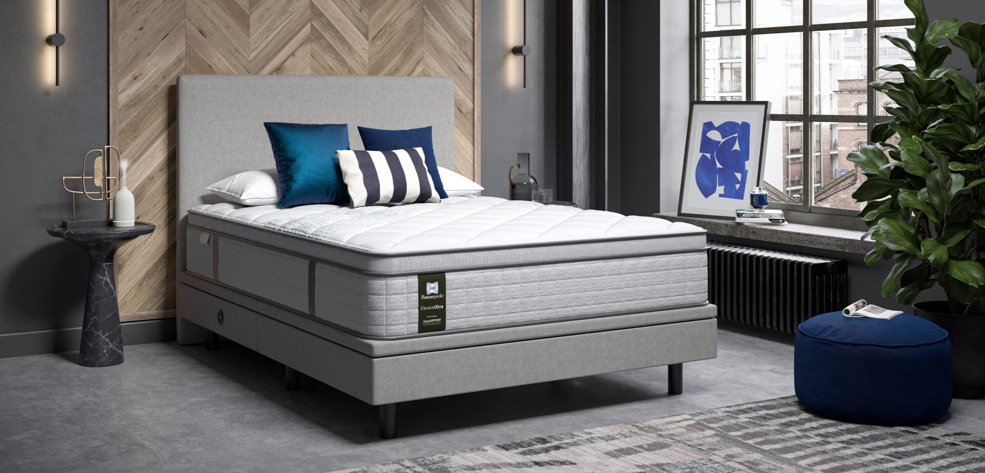 Sealy | The Heart & Soul of Sleep