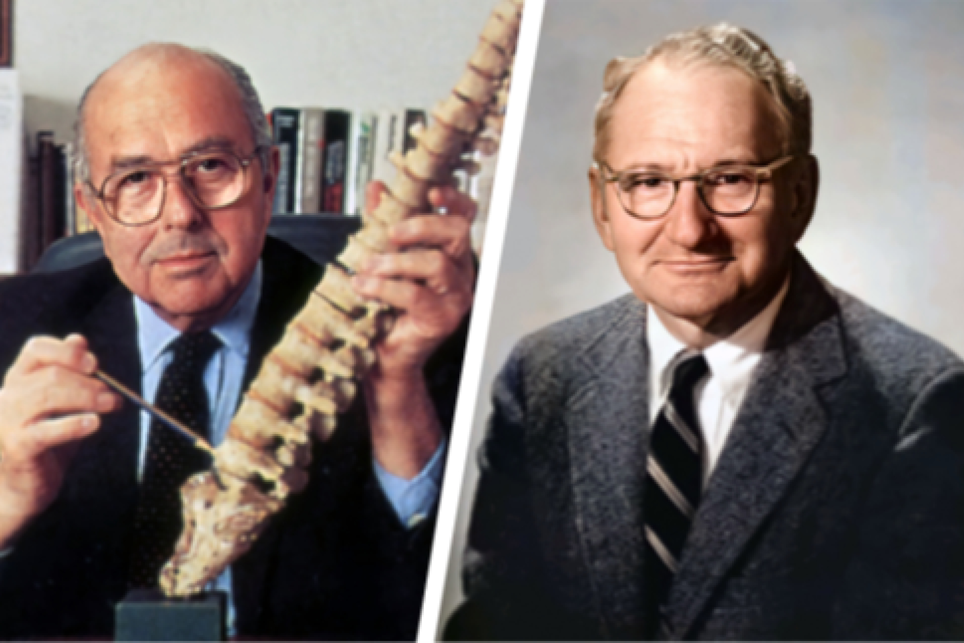 Sealy Posturepedic, where Sleep meets Science - Sealy